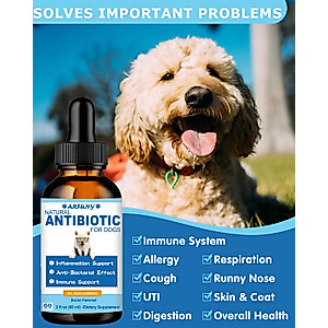 Natural Antibiotics for Dogs | 60ML Dog Antibiotic Drops | Dog Itchy Skin Relief | Dog Allergy Relief | Dog Immune Support | Dog Antibiotics for Skin Infection | Organic Natural Ingredients | Bacon