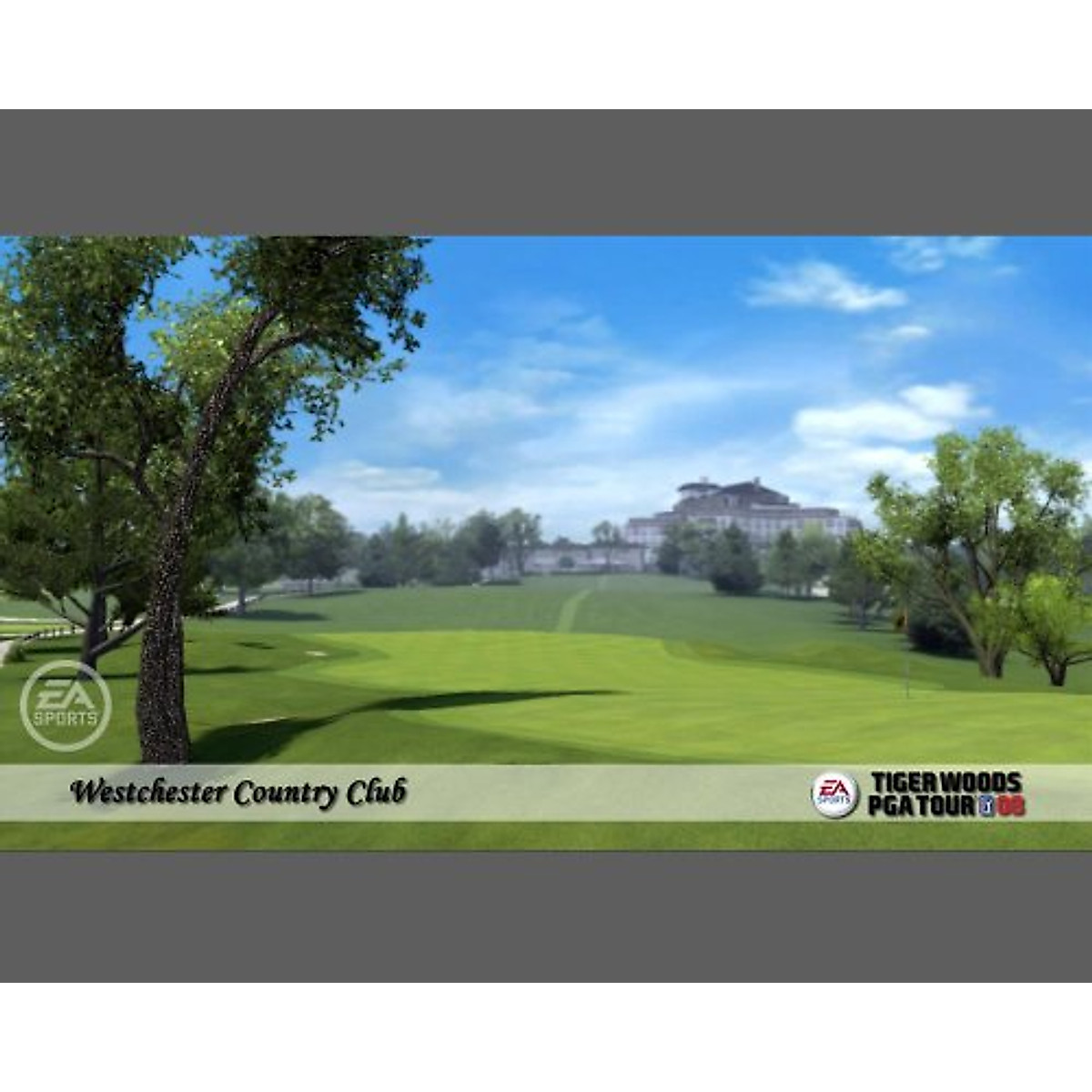 Tiger Woods PGA Tour 08