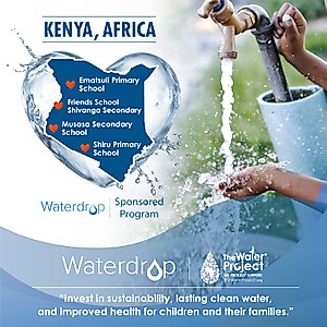 Waterdrop WD-DF-AL-A Replacement Alkaline Filters for Alkaline Dispenser Filtration System, Last Up to 2 Months or 100 Gallons (Pack of 3)