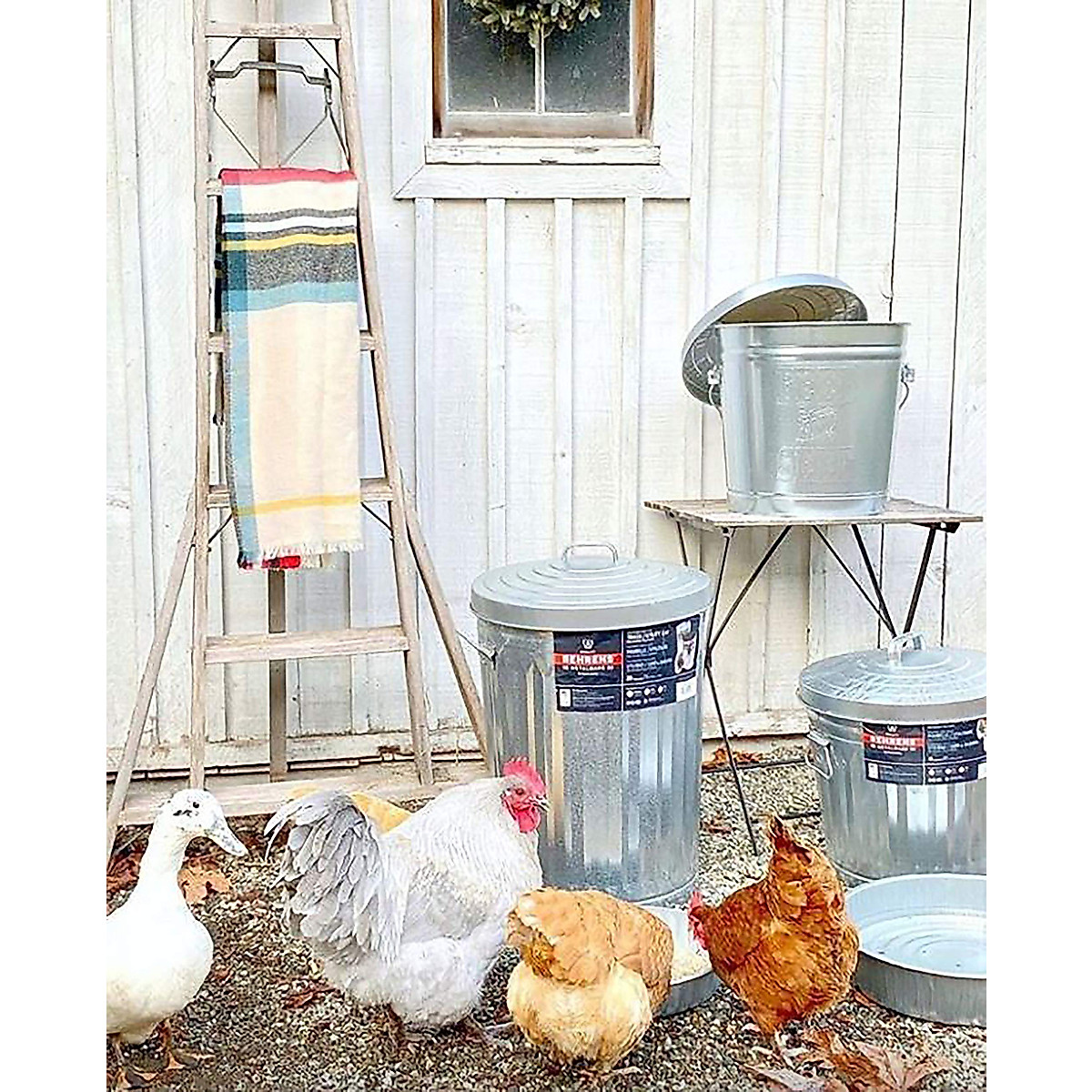 Behrens Manufacturing 6210 Galvanized Steel Trash Can, 10-Gallon