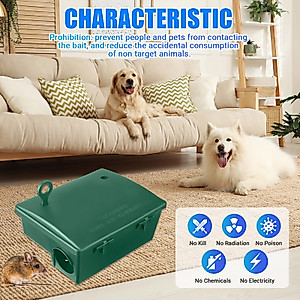 4 Pack Rat Bait Stations Large Rodent Bait Station with Key Reusable Mouse Bait Stations Mice Bait Blocks Heavy Duty Bait Boxes for Outdoor Rodents Mice Bait Blocks, Bait Not Included (Green)