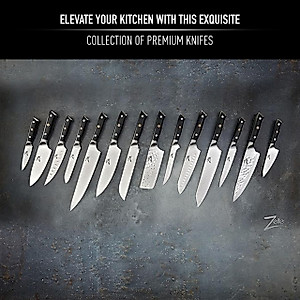 Zelite Infinity Japanese Paring Knife 4 Inch, Paring Knives, Fruit Knife, Pairing Knife, Small Knife - Japanese AUS-10 Super Steel 67-Layer Damascus Knife - Razor Sharp Knife - Superb Edge Retention