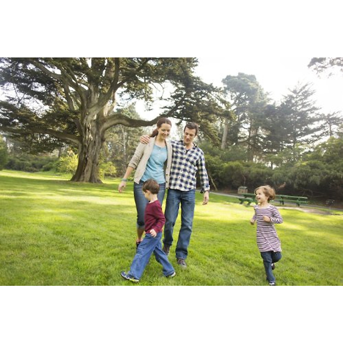 Fitbit Flex Wristband Accessory Pack, Small