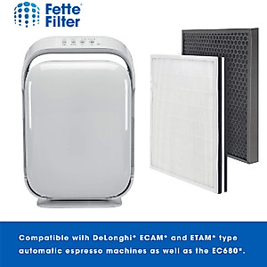 Fette Filter - FLT9200 True Hepa H13 Air Purifier Filter H and Carbon Combo Pack Compatible with FLT9200 for AC9200 AC9200WCA Air Purifier 2 True HEPA & 2 Carbon Filter Included.