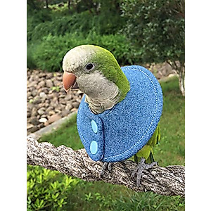 HEZHUO Adjustable Parrot Cone Collar, Safe and Practical Cotton Collar to Prevent Bites and Licking Wounds, to Help heal (XS)