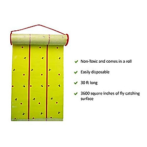 Catchmaster Outdoor Fly Trap Bundle, Giant Fly Glue Trap 3-Pack & Fly Bag 4-Pack, for Garage, Backyard, Pool, Patio & Camping