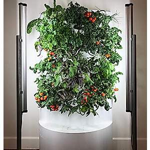 iHarvest Indoor Garden | Grow 30 Healthy Plants 30-50% Faster & Bigger in a Beautiful, Space Conscious Vertical Indoor Garden. No Chemicals or GMO's Needed.