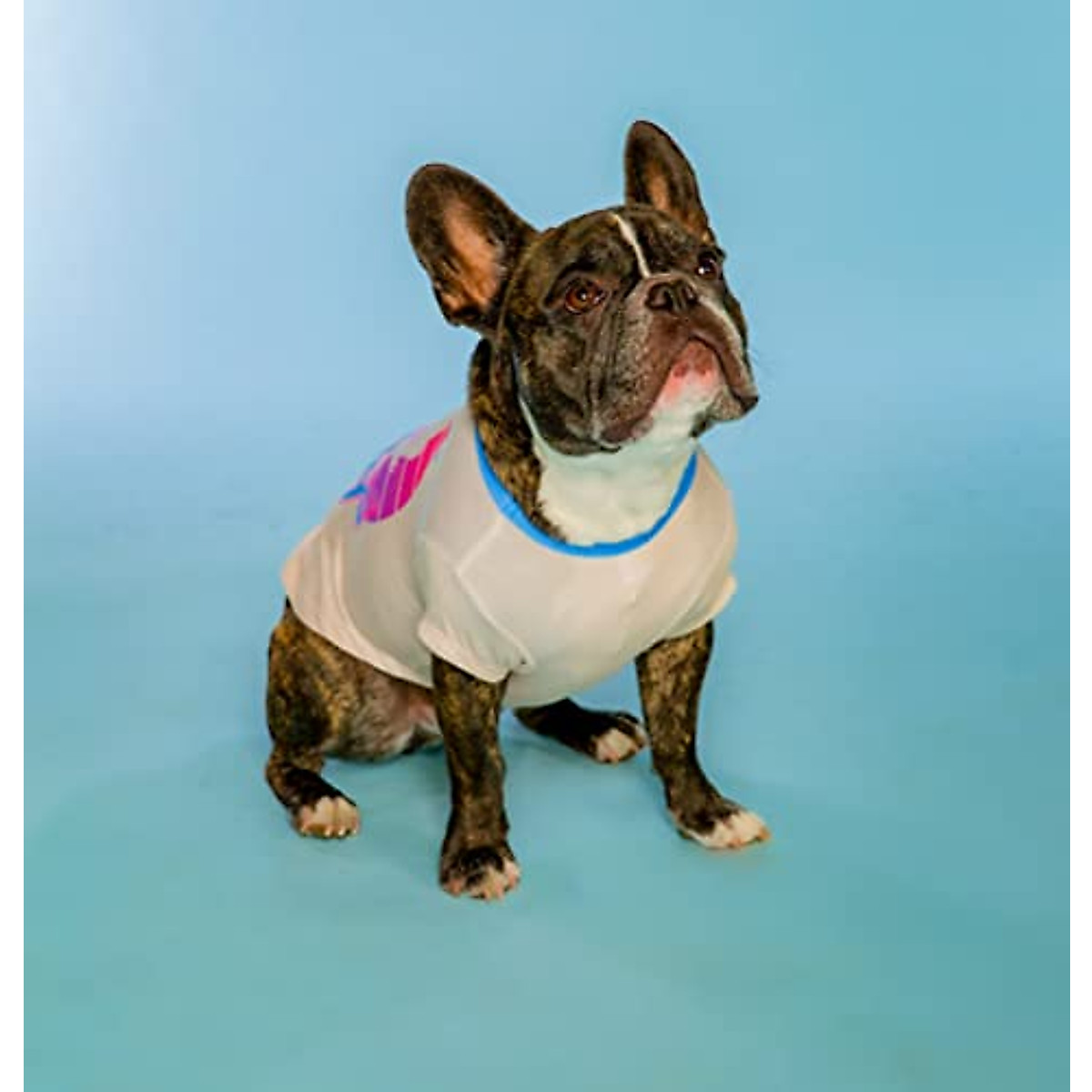 Doggy Parton All Star Show Vintage Style Shirt for Pets - M, White (22120723)