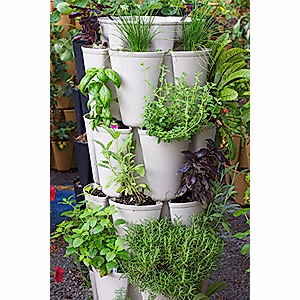 Greenstalk Patented Large 5 Tier Vertical Garden Planter with Patented Internal Watering System Great for Growing a Variety of Strawberries, Vegetables, Herbs, & Flowers (Stunning Stone)