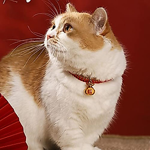 Ipetboom 2pcs Dog Cat Bell Collar Pet Neck Collar with Bell Adjustable Red String Leash Collar for Cats Kitten Puppy Small Medium Dogs