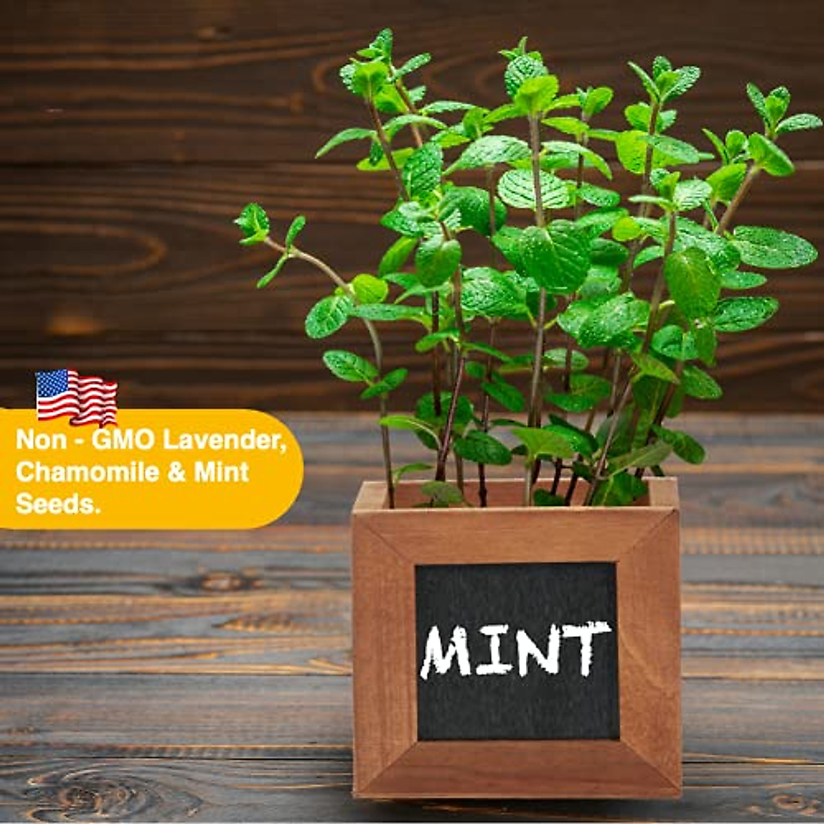 Indoor Herb Growing Kit - Herbal Tea Plants Included in Tea Growing Kits are Lavender, Chamomile & Mint Seeds. Medicinal Herb Plants Seed Kit