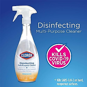 Clorox Disinfecting Multi-Purpose, Household Essentials, Cleaning Refills for Clorox Multi-Purpose Cleaning System, 2 Count