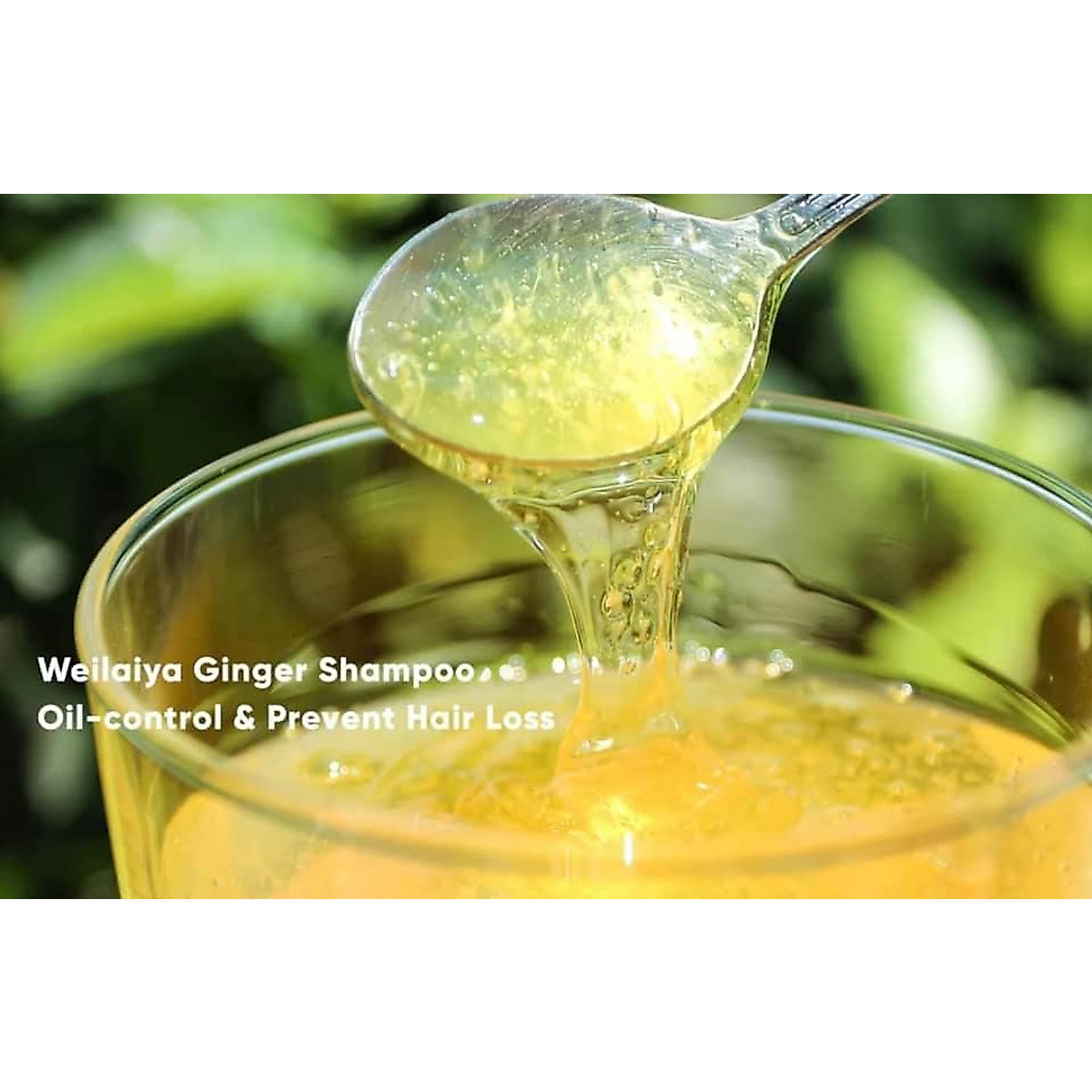 WEILAIYA White Ginger Prevent Hair Loss Shampoo 14g and Conditioner 14g Mini sample/travel/test try set for Normal/Oily Hair & Scalp