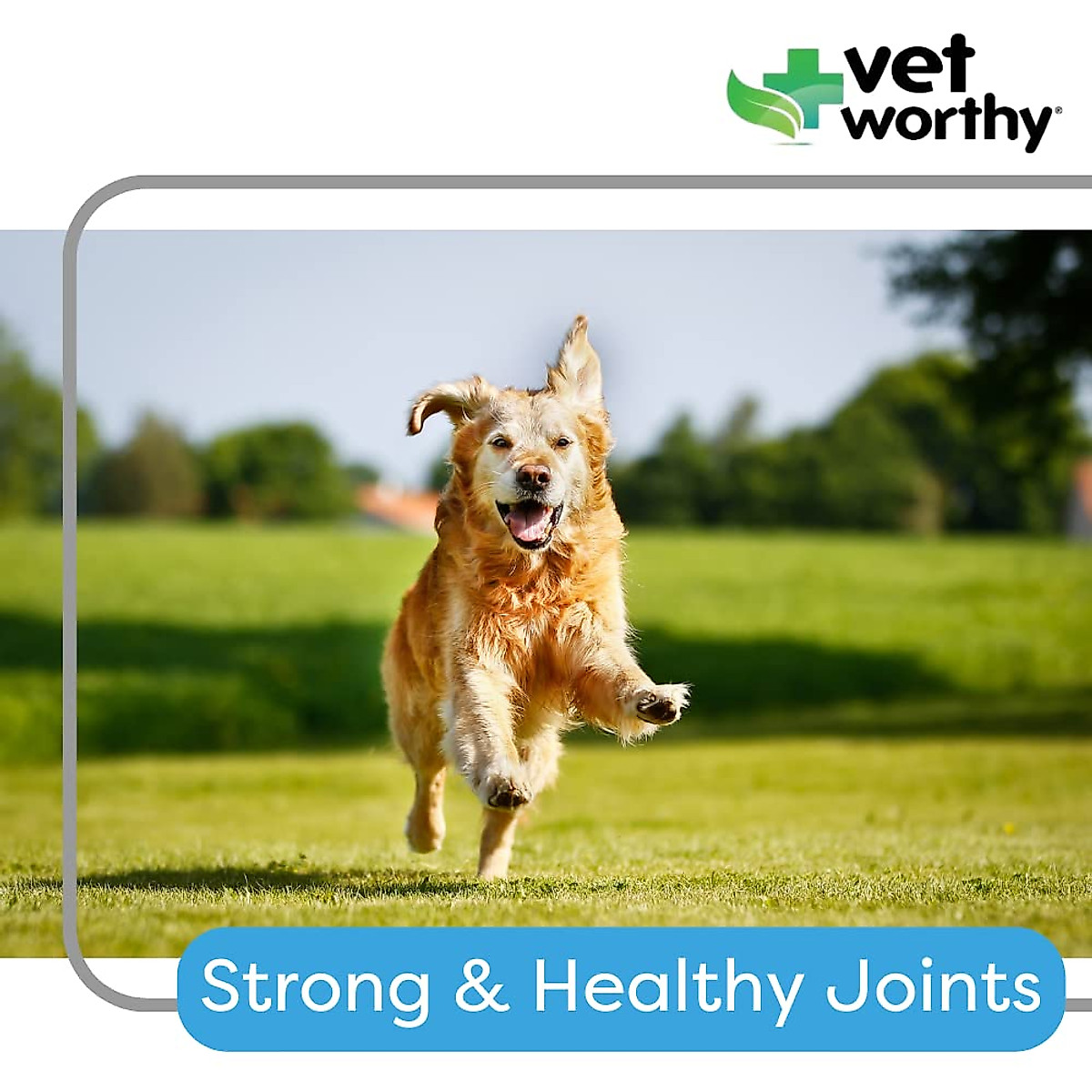 Vet Worthy Joint Support Level 1 Liver Flavored Chewable Tablet for Dogs (90 ct)