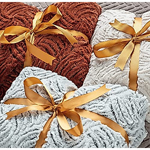 Chanasya Soft Textured Black White Faux Frost Tip Fur and Velvety Mink Throw Blanket - Cozy Blanket for Sofa Chair Couch Bed and Living Room - Silky Royal Luxurious Blanket (50x65 Inches) White