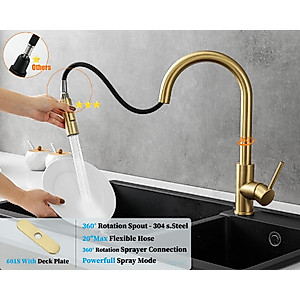 601&SS601 Gold Kitchen Faucet with Pull Down Sprayer and Gold Drinking Water Faucet
