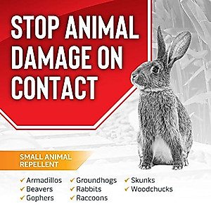 Animal Stopper Repellent - Safe & Effective, All Natural Food Grade Ingredients; Repels Groundhogs, Rabbits, Skunks, Raccoons and Other Garden Animals; Ready to Use, 32 oz. Spray Bottle