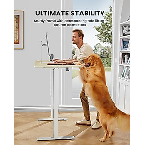 ErGear Height Adjustable Electric Standing Desk, 48 x 24 Inches Sit Stand up Desk, Memory Computer Home Office Desk (Natural)