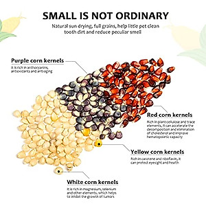 X-pet Hamster Treats and Chinchilla Chew Toys, 100% Natural Corn Suitable for Guinea Pig, Parrot,Bird and Other Small Animals