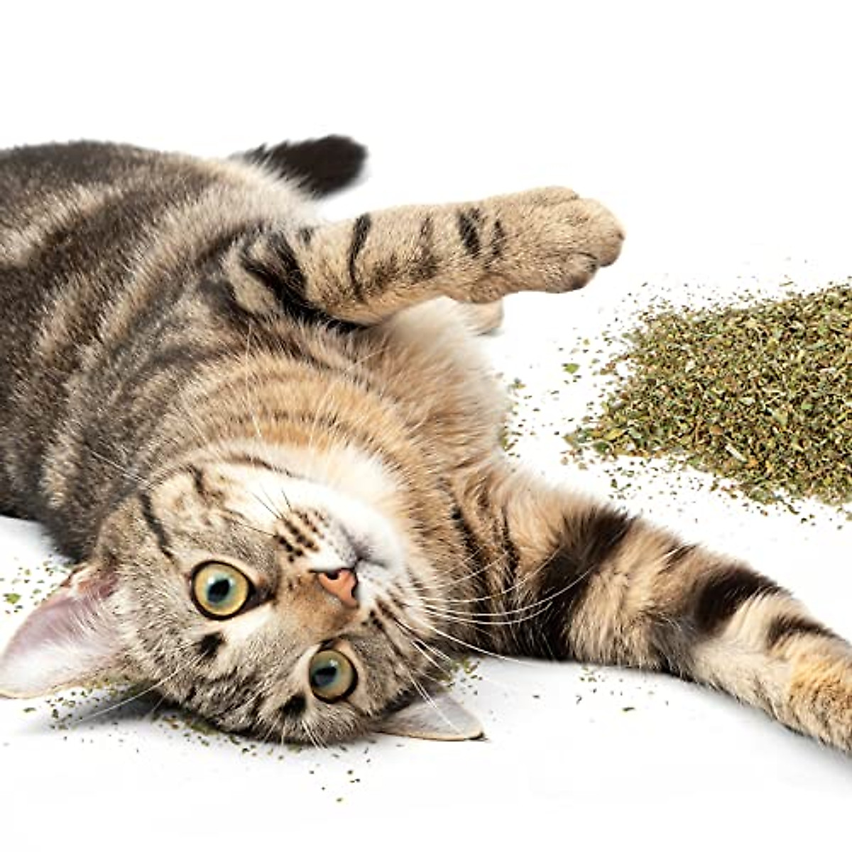 SmartyKat Catnip for Cats & Kittens, Shaker Canister - 2 Ounces