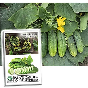 Spacemaster Cucumber Seeds, 100+ Heirloom Seeds Per Packet, (Isla's Garden Seeds), Non GMO Seeds, Botanical Name: Cucumis sativus, 85% Germination Rates