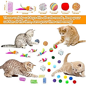 YUSHOO 43PCS Cat Toys, Interactive Cat Kitten Toys for Indoor Automatic Cat Toys Cat Feather Teaser Wand Toys Include Cat Springs, Mice, Balls and Bells Toys, Cat Wand Toys for Cat Kitten