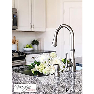 Pfister Wheaton Kitchen Faucet with Pull Down Sprayer and Soap Dispenser, Single Handle, High Arc, Stainless Steel Finish, GT529WH1S, Large