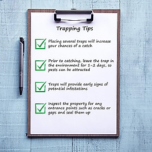 KINGMAN PRIME Medium Mouse Trap Rat Trap Glue Trap/Board (12 Traps) Rodent Trap Safe Easy Non-Toxic