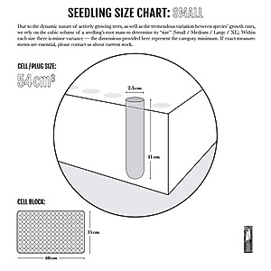 Conifers of The Sierra Nevada | Collection of 5 Live Tree Seedlings | The Jonsteen Company