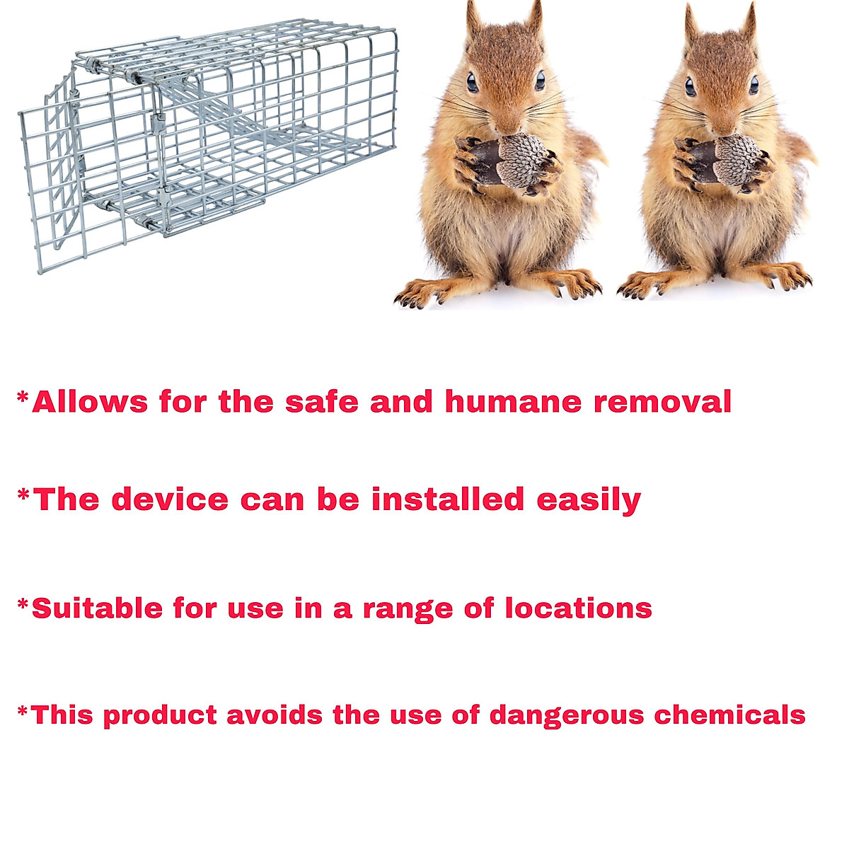 one Way Door Squirrel|Traps Alternative|one Way Door Squirrel|Squirrel Trap Live Trap Squirrel Traps