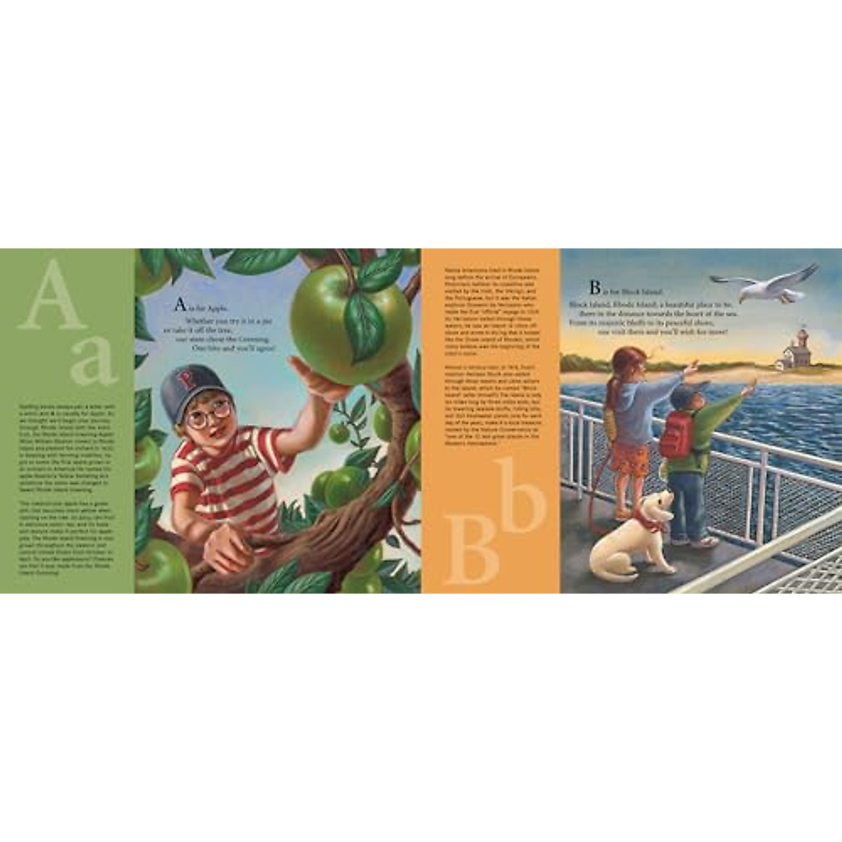 R is for Rhode Island Red: A Rhode Island Alphabet (Discover America State by State)