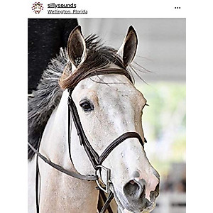 Silly Sounds Horse Earplugs (Black) 4pk