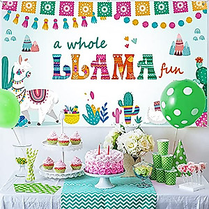 Llama Backdrop a Whole Llama Fun Birthday Backdrop Cactus Mexican Theme Photography Background Fiesta Llama Party Birthday Decoration, Baby Shower Decorations Cake Table Decors, 70.9 x 43.3 Inches