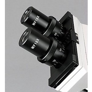 AmScope B100B-E Digital Compound Binocular Microscope, 40X-2000X Magnification, Brightfield, Tungsten Illumination, Abbe Condenser, Plain Stage, Includes 0.3MP Camera and Software