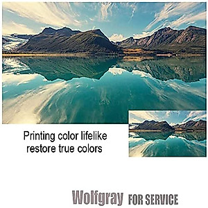 Wolfgray Remanufactured 564 Printhead Compatible for HP564 Printheads 564 Printhead for HP Photosmart 7510 7515 7520 7525 D7560 D5460 C6340 C309g C310a Printer