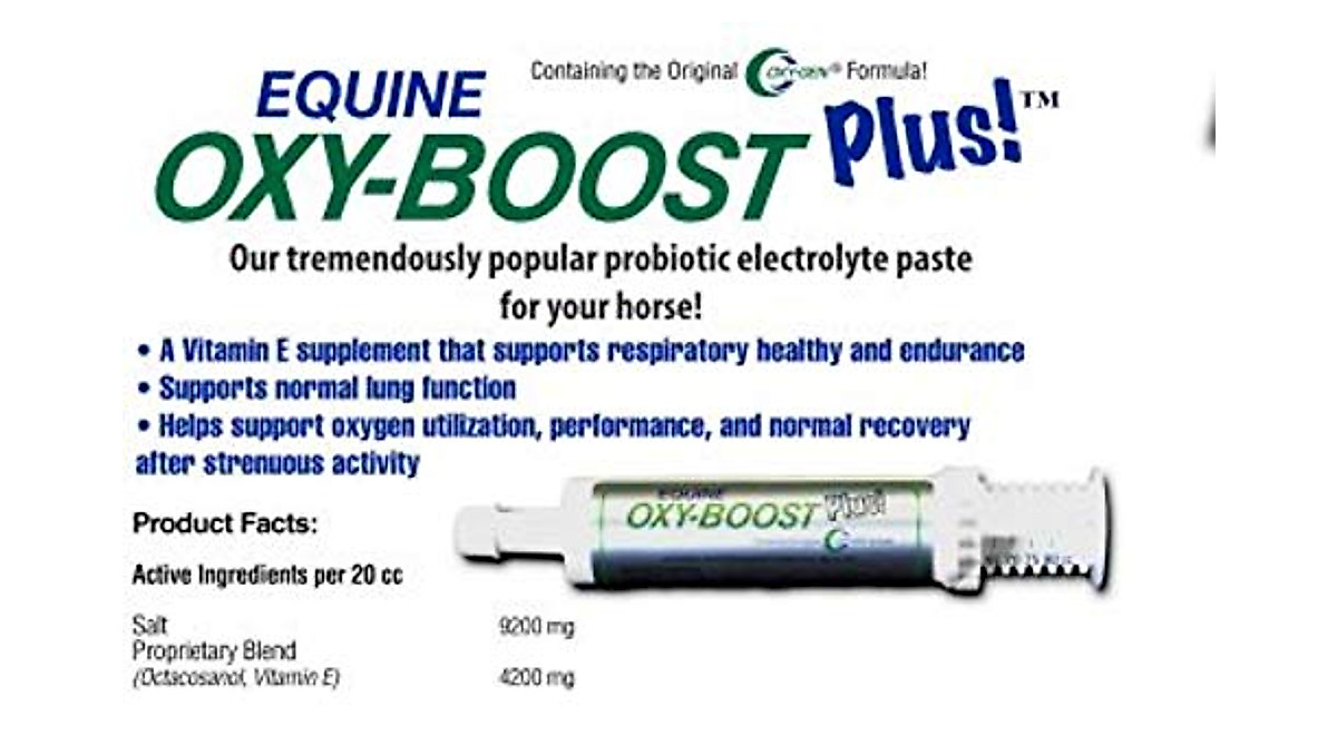 Oxy-Gen Oxy-Boost Probiotic Paste for Horses | Enhance Performance