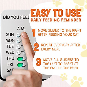 Did You Feed The Cat?