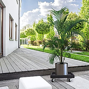 CAPRIZ Squares Plant Caddy with Wheels, 7.9 in Plastic Plant Stand with Lockable Wheels, Heavy Duty Rolling Plant Dolly Base, Large Potted Planter Cart Dolly for Flower Pot Outdoor Indoor