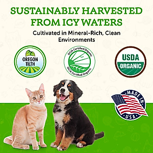 Animal Essentials Ocean Kelp for Dogs & Cats - Thyroid Support, Thyroid Supplement, Sea Kelp, Kelp Powder, Trace Mineral Supplement - 24 Oz