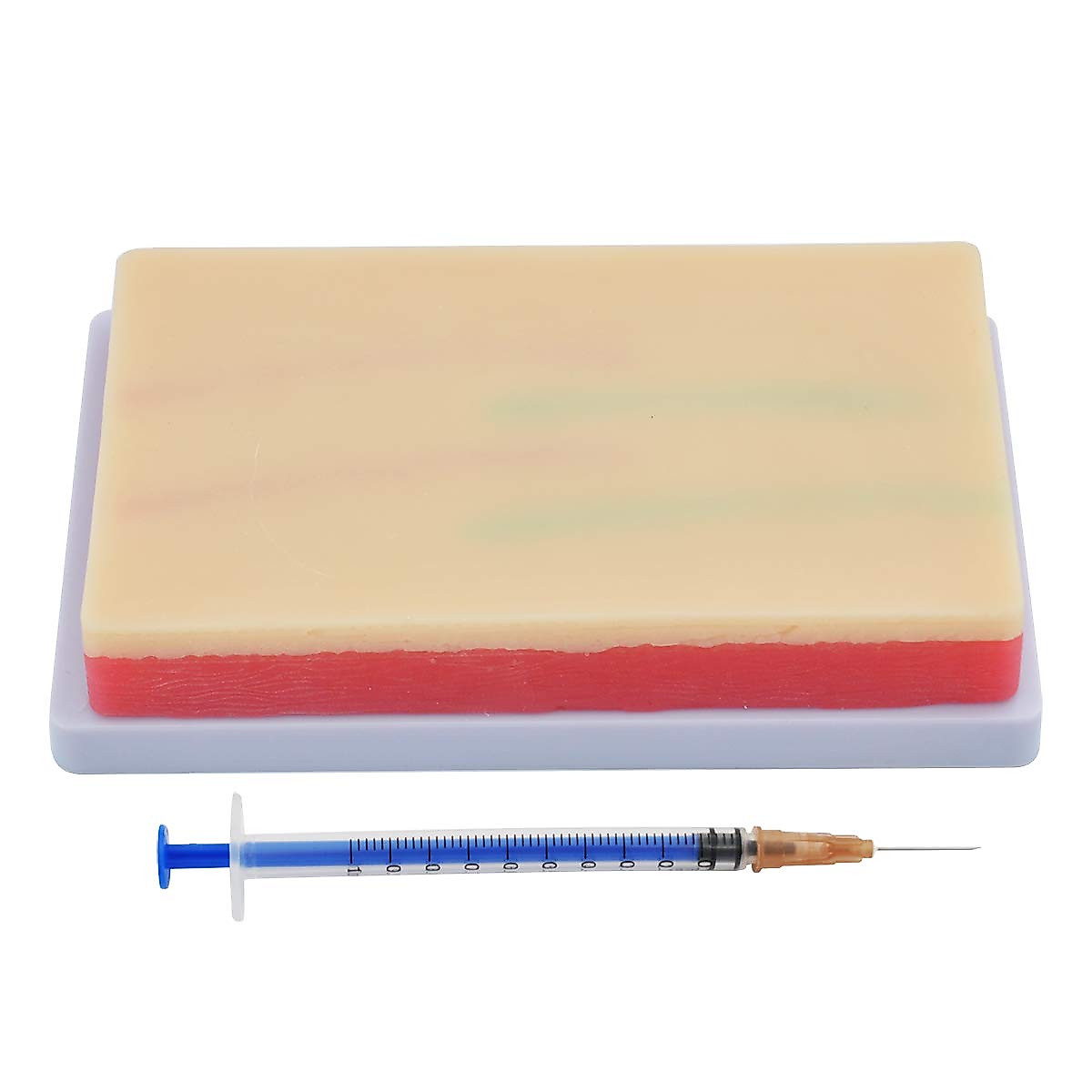 IV Training Kit, Phlebotomy Practice Kit with Needles, Venipuncture IV Injection Training Pad Starter Kit Blood Draw Practice kit for Nursing Student Medical Education