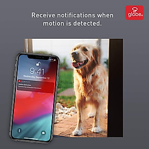 Globe Electric Wi-Fi Smart Indoor/Outdoor Security Camera, No Hub Required, Voice Activated, 1080p, Motion Detection, 2-Way Voice, Night Vision, Silver and White,50108