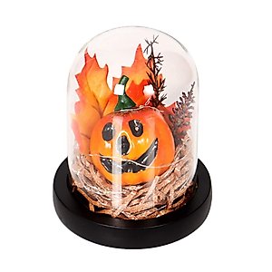 CCOOfhhc Halloween Pumpkin Lights,Glass Pumpkin Roses Halloween Smiley Pumpkin Shade Halloween Decoration