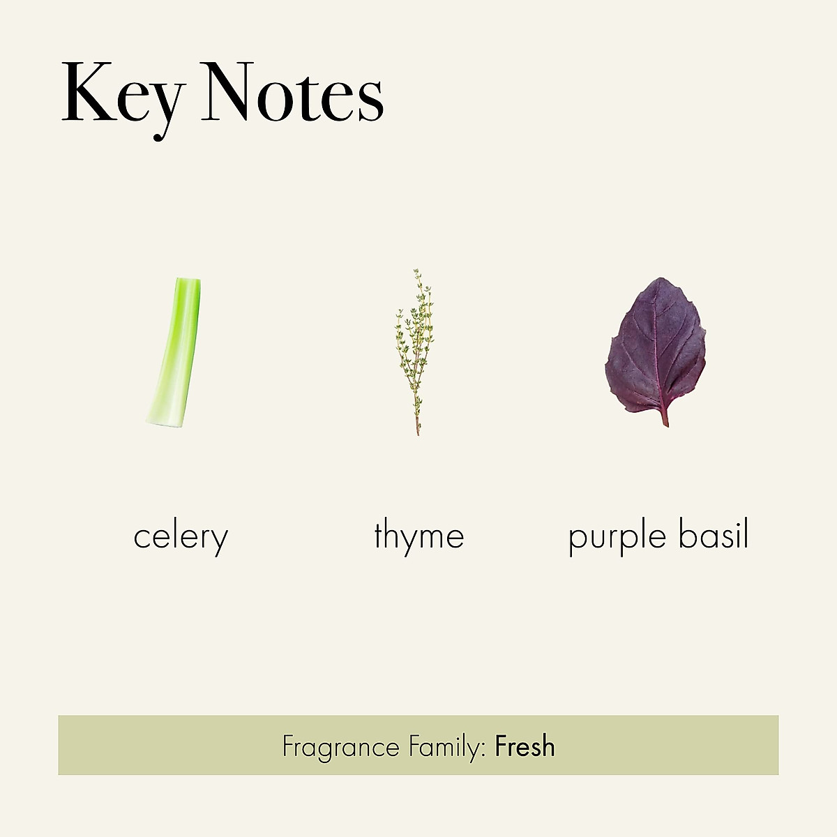 Lafco Reed Diffuser, Dining Room Celery Thyme, 15 Fl Oz