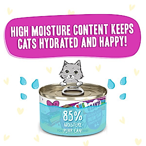 Weruva B.F.F. OMG - Best Feline Friend Oh My Gravy!, Chicken & Duck Dream Team with Chicken & Duck in Gravy, 2.8oz Can (Pack of 12)