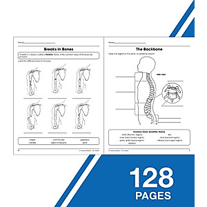 Carson Dellosa The 100+ Series: Human Body Workbook―Grades 5-8 Science Book, Human Anatomy, Bones, Muscles, Organs, the Nervous System, Health and Nutrition (128 pgs) (Volume 13)
