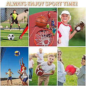 Leyndo 18 Pcs Bulk Sport Balls Set Basketball Football Volleyball Soccer Playground Ball Baseball Outdoor Sport Equipment Full Size with Sports Ball Bag Pump for Youth Adults Kids Sport Gift (Brown)