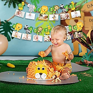 LaVenty Jungle Gold Monthly Photo Banner Wild One Monthly Photo Banner Safari First Birthday Banner Monthly Photo Banner Zoo Jungle Banner