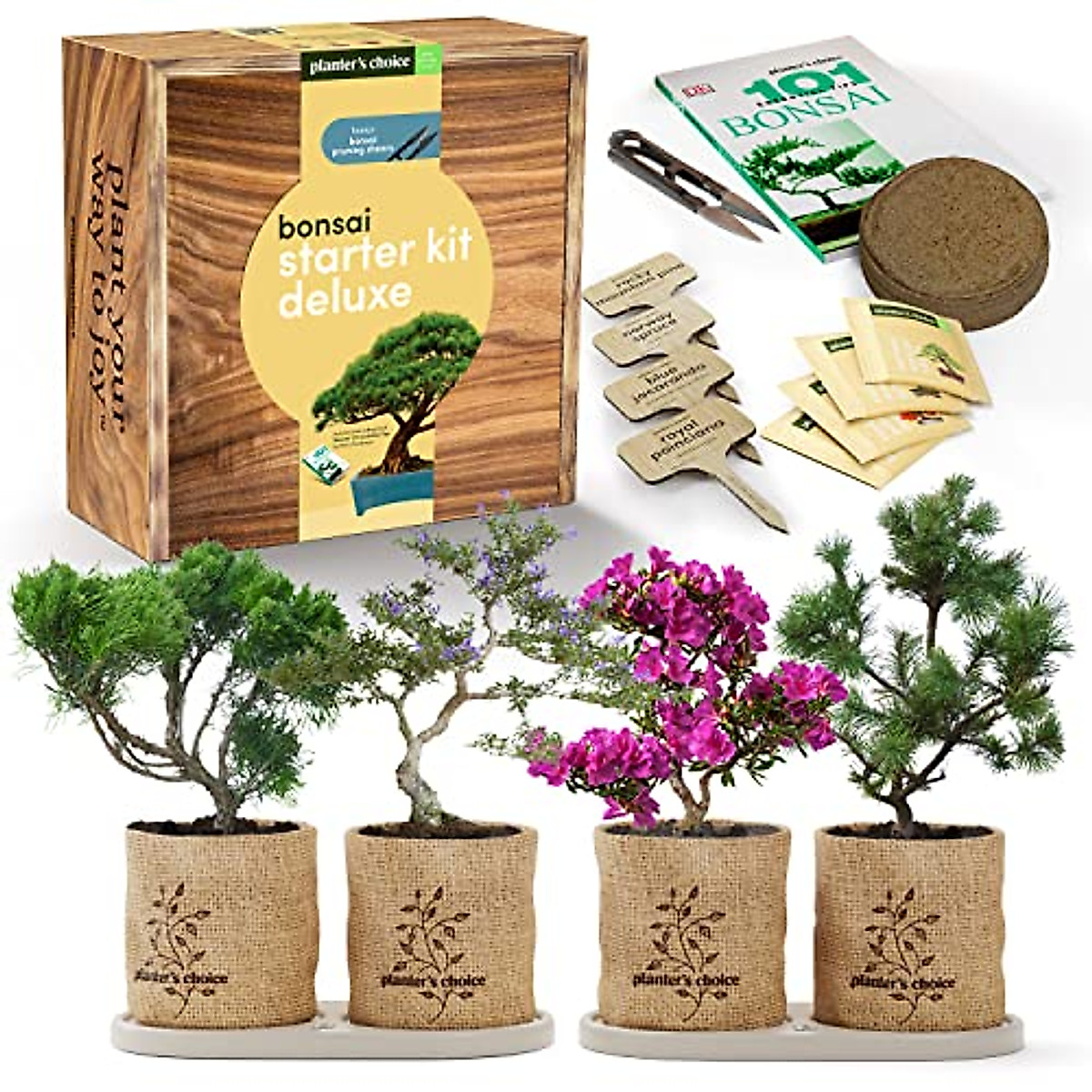 Bonsai Starter Kit - DIY Bonsai Growing Gift - Garden Hobbies for Adults, Women & Men : 4 Unique Tree Seeds, Soil, Pots, Pruning Shears, Plant Markers + Wood Gift Box