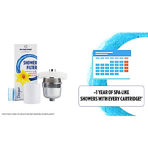 New Wave Enviro Shower Filter System