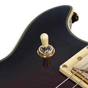 Ibanez AR325QA AR Standard Dark Brown Sunburst